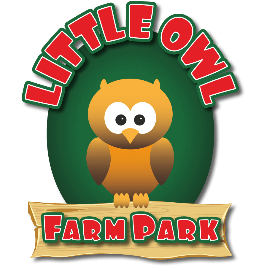 Home - Little Owl Farm Park