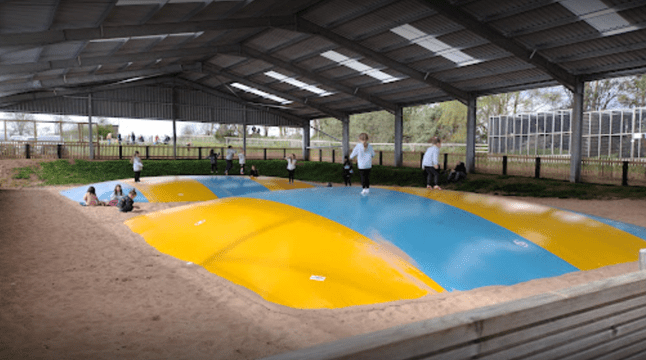 Little Owl Farm Park | Family Day Out, Animal Encounters & Activities