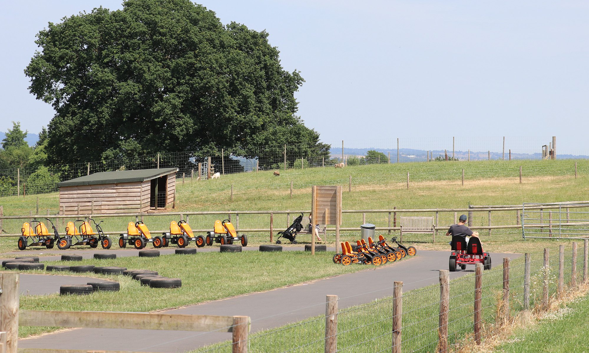 Little Owl Farm Park | Family Day Out, Animal Encounters & Activities