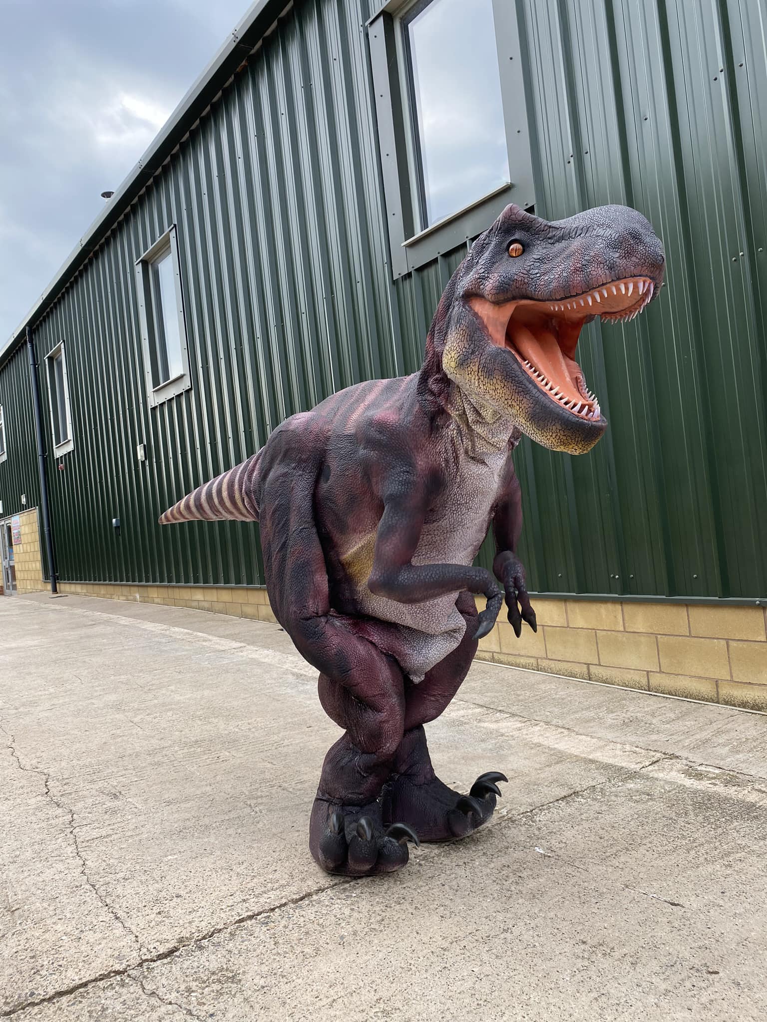 Little Owl Farm Park | Family Day Out, Animal Encounters & Activities